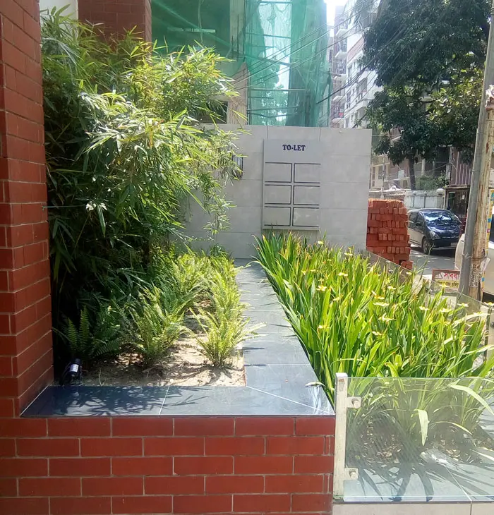 My Forte - Square Feet Story