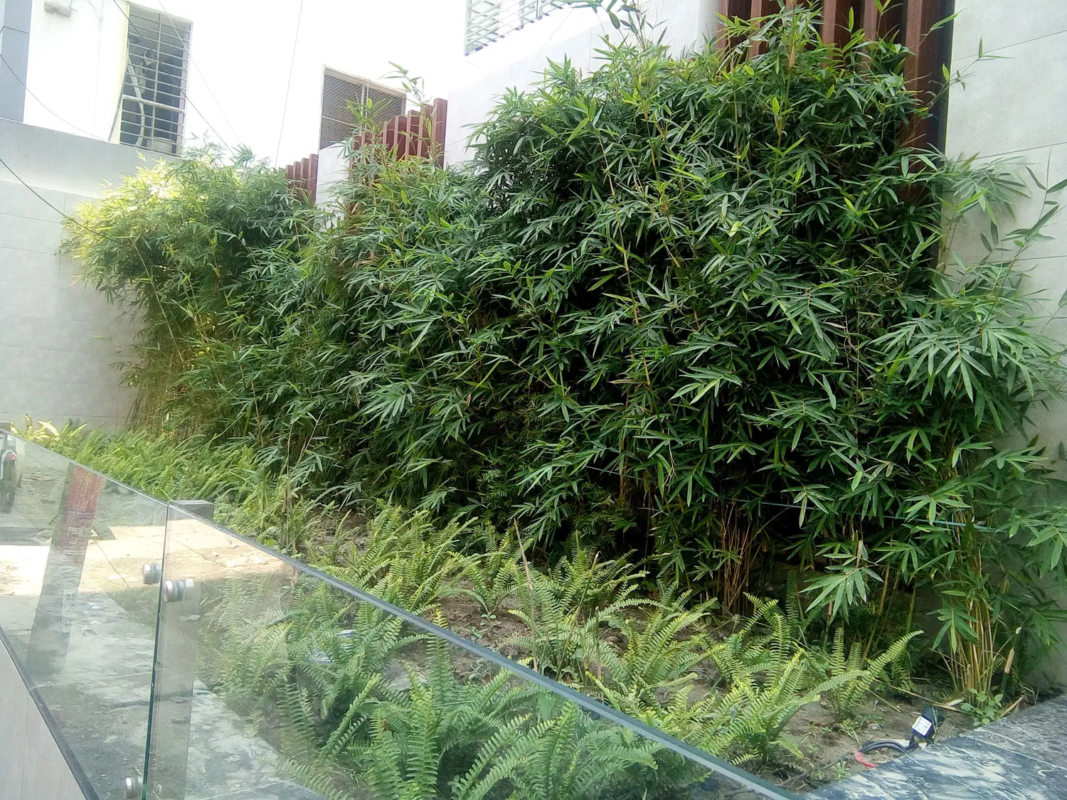 My Forte - Square Feet Story