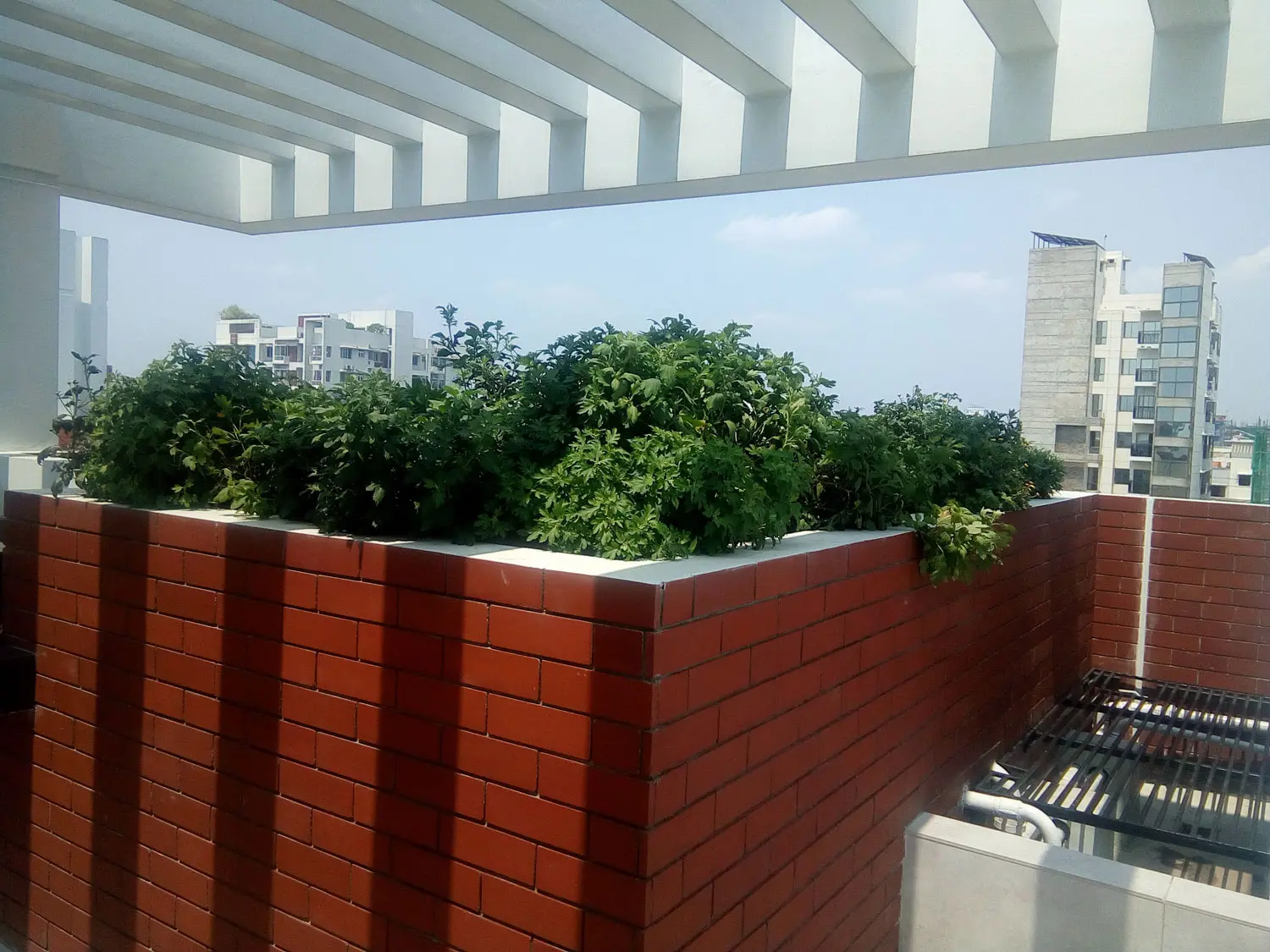 My Forte - Square Feet Story